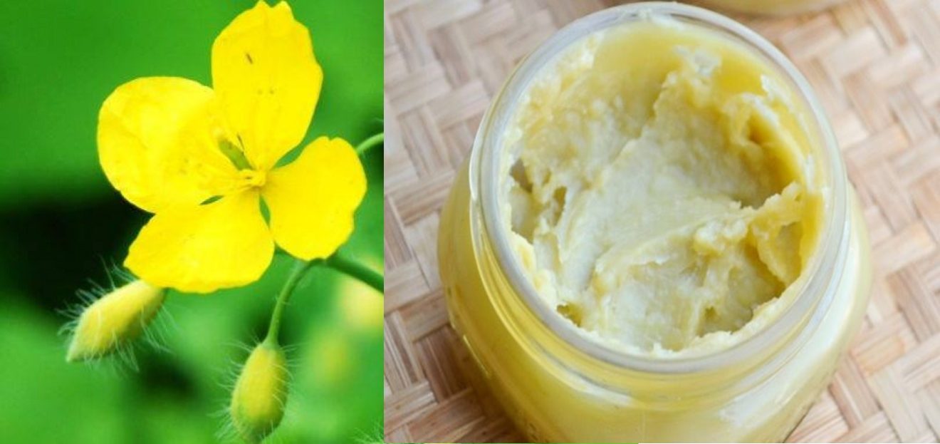 Crema de ROSTOPASCA, remediu miraculos pentru bolile de piele - Dor cu dor